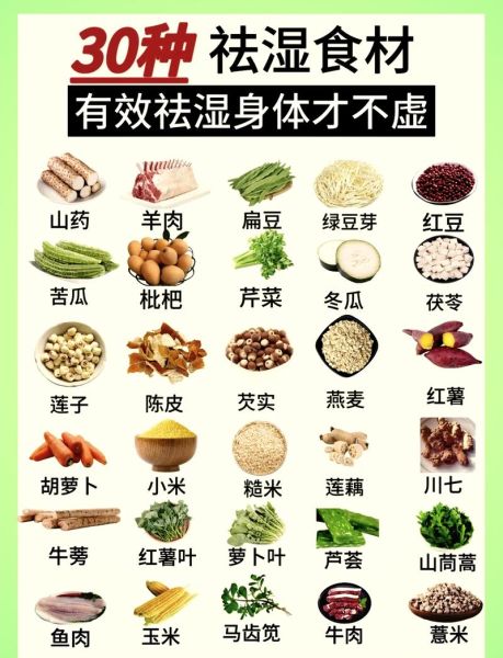 健脾去湿气的食物有哪些_湿气重吃什么健脾最快-第1张图片-山城妙识 健脾去湿气的食物有哪些_湿气重吃什么健脾最快-第1张图片-山城妙识