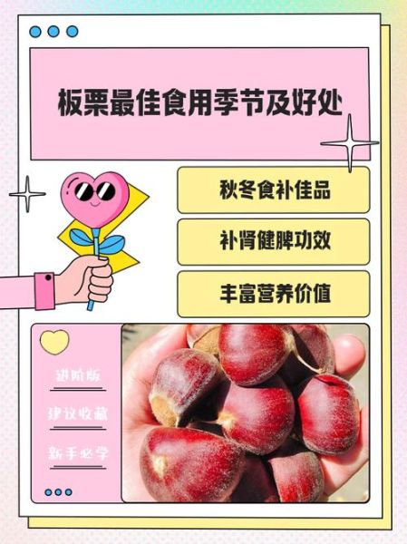 孕妇可以吃板栗吗_孕妇吃板栗的好处与禁忌-第2张图片-山城妙识