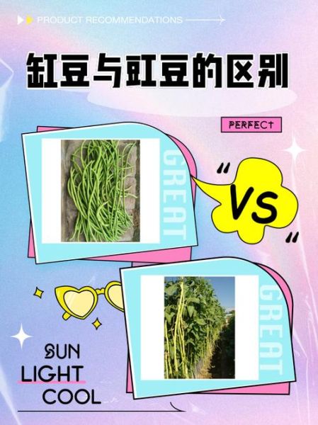 缸豆与豇豆的区别_缸豆是不是豇豆-第1张图片-山城妙识 缸豆与豇豆的区别_缸豆是不是豇豆-第1张图片-山城妙识