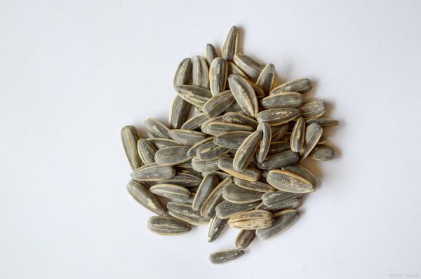 角瓜子有什么功效_角瓜子怎么吃最好-第3张图片-山城妙识