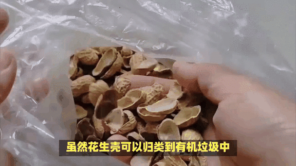 花生壳是什么垃圾_花生壳能直接扔厨余吗-第1张图片-山城妙识 花生壳是什么垃圾_花生壳能直接扔厨余吗-第1张图片-山城妙识