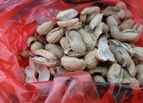 花生壳是什么垃圾_花生壳能直接扔厨余吗-第3张图片-山城妙识 花生壳是什么垃圾_花生壳能直接扔厨余吗-第3张图片-山城妙识