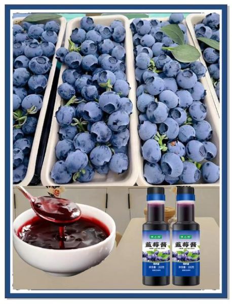 自制蓝莓果酱怎么做_能保存多久-第3张图片-山城妙识 自制蓝莓果酱怎么做_能保存多久-第3张图片-山城妙识