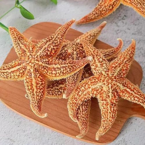 海星泡酒功效与作用_海星泡酒怎么泡-第3张图片-山城妙识 海星泡酒功效与作用_海星泡酒怎么泡-第3张图片-山城妙识