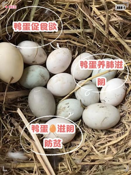新鲜鸭蛋的营养价值_新鲜鸭蛋的功效与作用-第2张图片-山城妙识