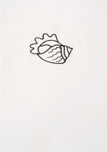 螺图片_怎么画才逼真-第1张图片-山城妙识 螺图片_怎么画才逼真-第1张图片-山城妙识