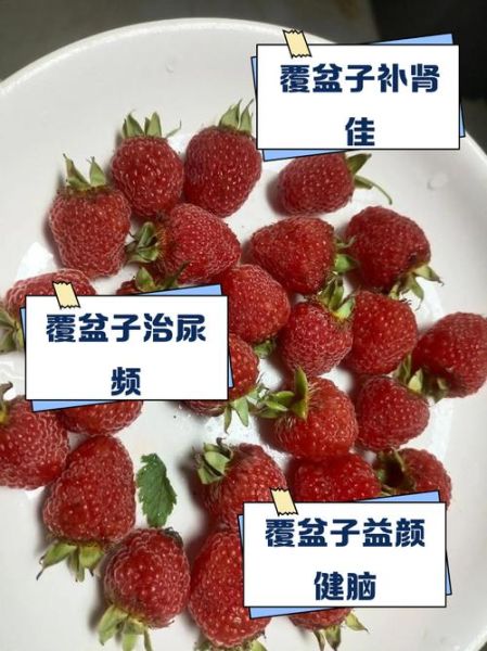 覆盆子图片大全大图_覆盆子功效与作用有哪些-第2张图片-山城妙识 覆盆子图片大全大图_覆盆子功效与作用有哪些-第2张图片-山城妙识