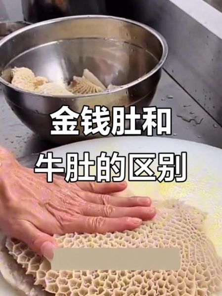 金钱肚和牛肚的区别_哪个更好吃-第3张图片-山城妙识 金钱肚和牛肚的区别_哪个更好吃-第3张图片-山城妙识
