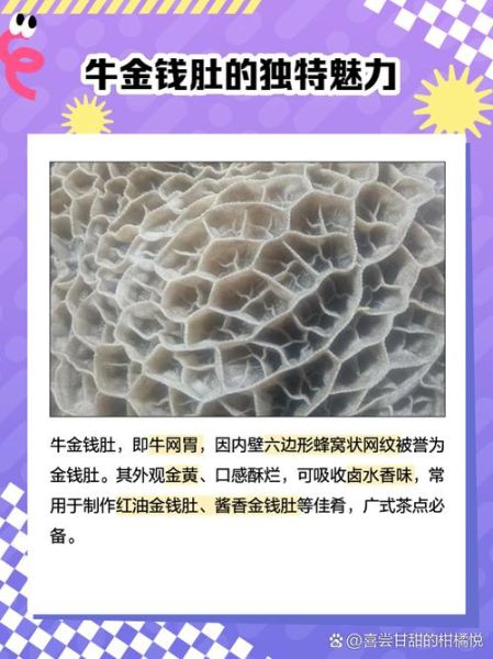 金钱肚和牛肚的区别_哪个更好吃-第1张图片-山城妙识 金钱肚和牛肚的区别_哪个更好吃-第1张图片-山城妙识