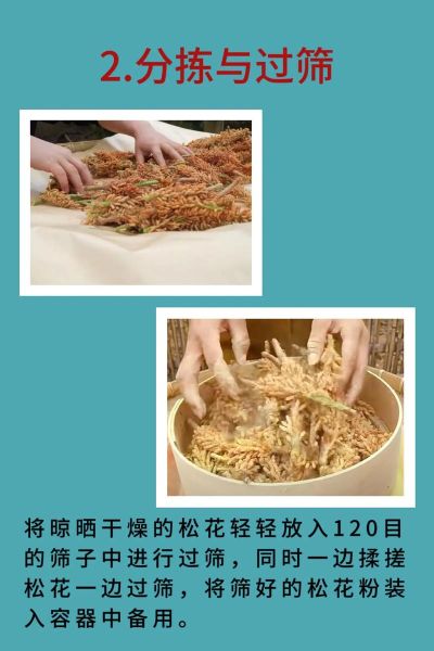 国珍松花粉的功效与作用_国珍松花粉怎么吃效果最好-第1张图片-山城妙识 国珍松花粉的功效与作用_国珍松花粉怎么吃效果最好-第1张图片-山城妙识