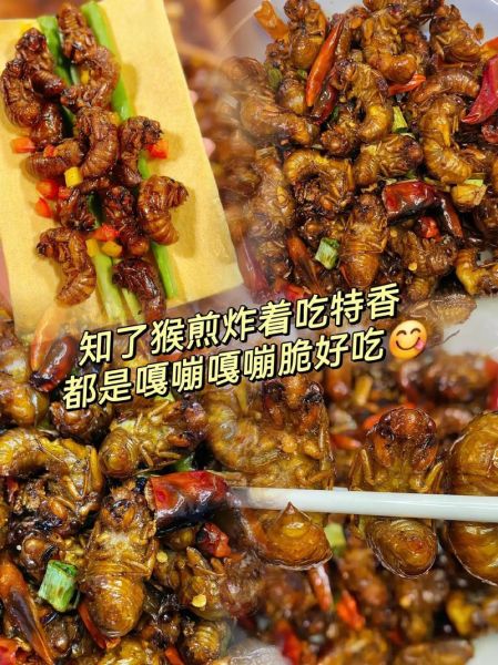 炒知了猴多长时间熟_知了猴怎么炒才酥脆-第1张图片-山城妙识