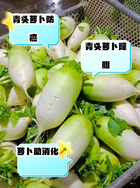 青萝卜是热性还是凉性_青萝卜寒凉吗-第1张图片-山城妙识
