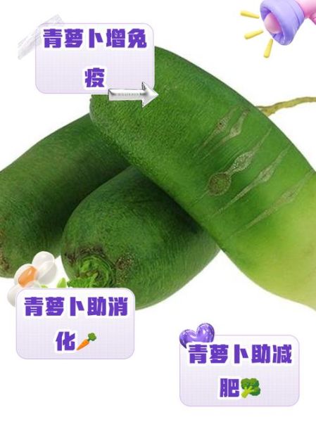 青萝卜是热性还是凉性_青萝卜寒凉吗-第3张图片-山城妙识