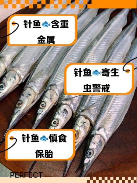 针鱼图片_针鱼长什么样-第2张图片-山城妙识