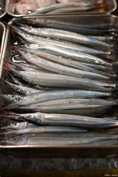 针鱼图片_针鱼长什么样-第3张图片-山城妙识