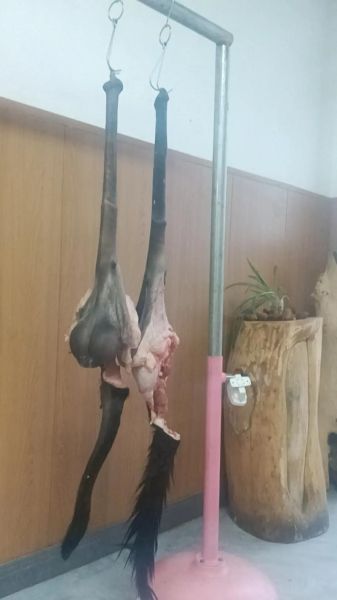 金钱肉是什么肉_金钱肉为什么叫金钱肉-第1张图片-山城妙识