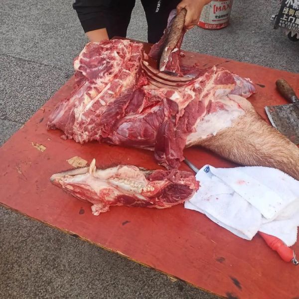 野猪肉多少钱一斤_野猪肉好吃吗-第1张图片-山城妙识