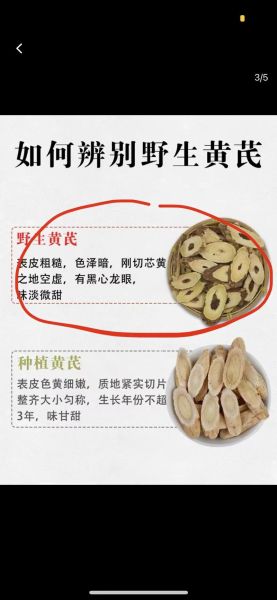 黄芪图片大全_如何辨别真假黄芪-第2张图片-山城妙识 黄芪图片大全_如何辨别真假黄芪-第2张图片-山城妙识