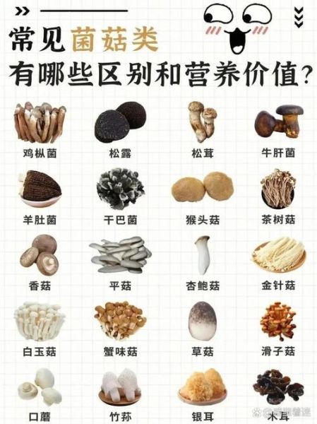 香菇营养价值高吗_香菇有哪些营养成分-第2张图片-山城妙识 香菇营养价值高吗_香菇有哪些营养成分-第2张图片-山城妙识