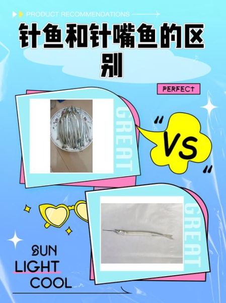 淡水针嘴鱼怎么养_淡水针嘴鱼能长多大-第1张图片-山城妙识 淡水针嘴鱼怎么养_淡水针嘴鱼能长多大-第1张图片-山城妙识