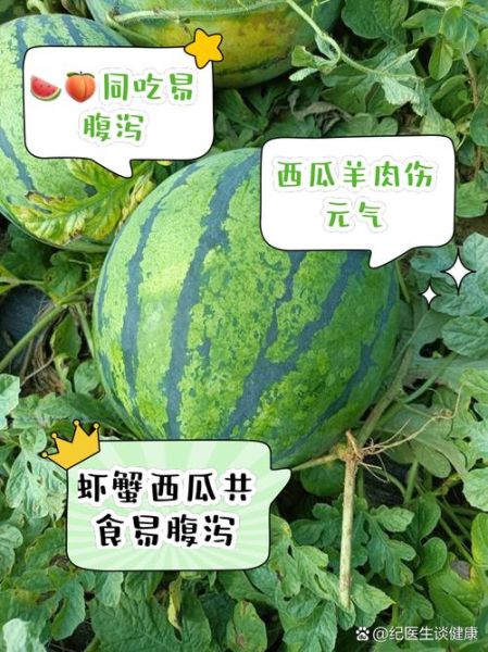 西瓜和什么不能一起吃_西瓜与哪些食物相克-第2张图片-山城妙识 西瓜和什么不能一起吃_西瓜与哪些食物相克-第2张图片-山城妙识