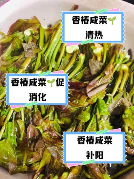 香椿咸菜怎么吃_香椿咸菜的做法大全-第2张图片-山城妙识