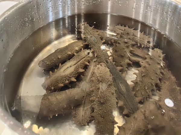 干海参怎么泡发_家常海参泡发步骤-第2张图片-山城妙识