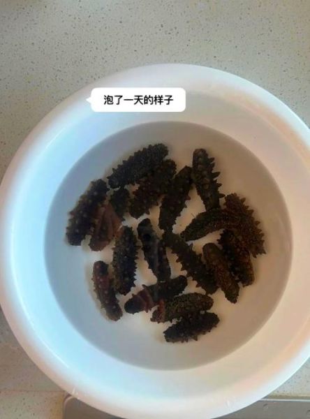 干海参怎么泡发_家常海参泡发步骤-第3张图片-山城妙识