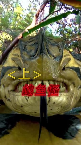 蛇鱼怪电影高清完整版哪里看_蛇鱼怪电影剧情解析-第1张图片-山城妙识