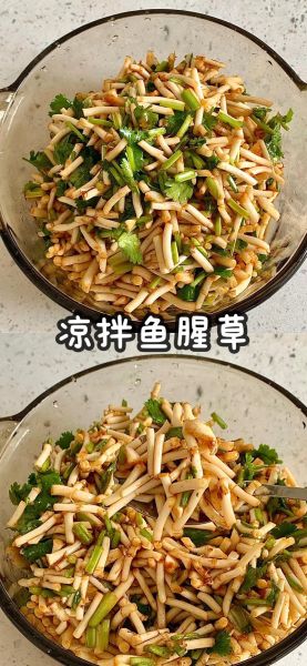 鱼腥草的做法大全_鱼腥草怎么凉拌好吃-第2张图片-山城妙识 鱼腥草的做法大全_鱼腥草怎么凉拌好吃-第2张图片-山城妙识