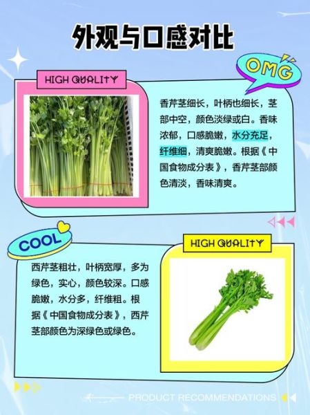 香芹和芹菜的区别_香芹图片怎么辨认-第1张图片-山城妙识 香芹和芹菜的区别_香芹图片怎么辨认-第1张图片-山城妙识