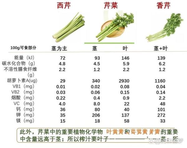 香芹和芹菜的区别_香芹图片怎么辨认-第2张图片-山城妙识 香芹和芹菜的区别_香芹图片怎么辨认-第2张图片-山城妙识