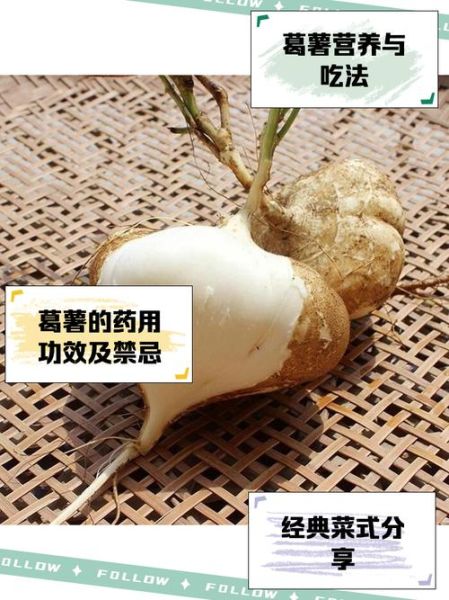 葛薯怎么做好吃_葛薯的家常做法-第1张图片-山城妙识