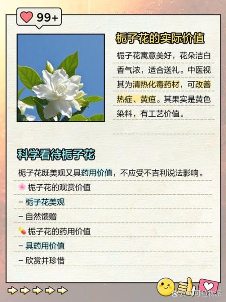 老人说养栀子花不吉利_栀子花风水禁忌真相-第2张图片-山城妙识 老人说养栀子花不吉利_栀子花风水禁忌真相-第2张图片-山城妙识