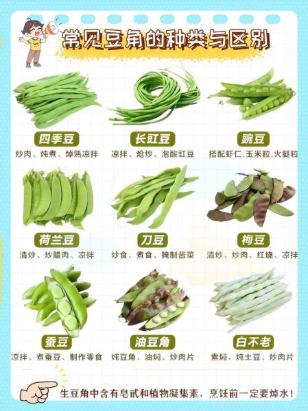 豇豆和豆角的区别_豇豆是豆角吗-第2张图片-山城妙识