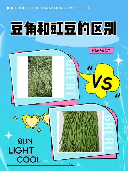 豇豆和豆角的区别_豇豆是豆角吗-第1张图片-山城妙识