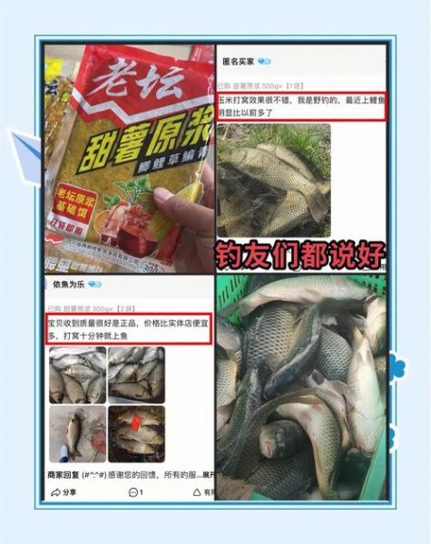 自制鱼饵配方大全_什么鱼饵最好用-第2张图片-山城妙识