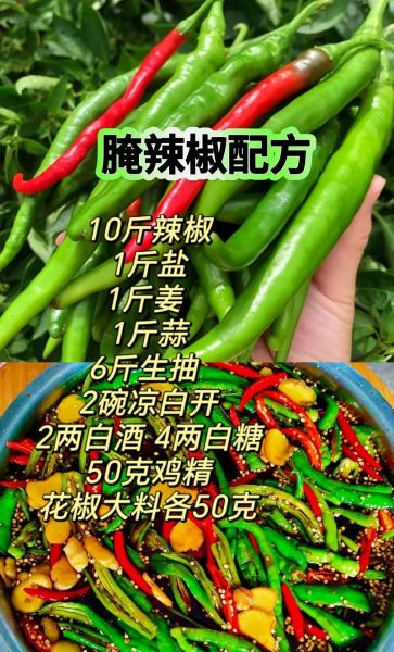 怎样腌制辣椒才好吃_腌制辣椒的配方-第3张图片-山城妙识