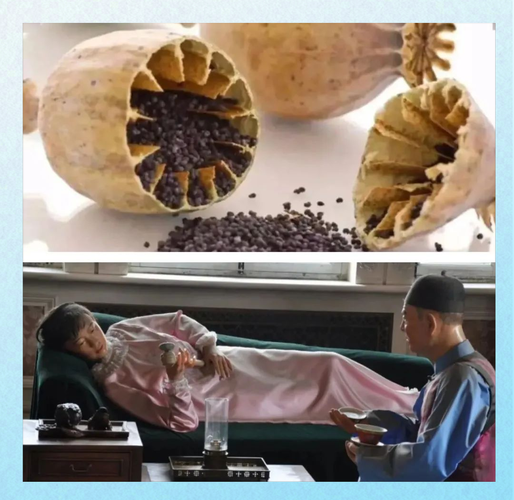 鸦片是什么_鸦片会上瘾吗-第2张图片-山城妙识 鸦片是什么_鸦片会上瘾吗-第2张图片-山城妙识