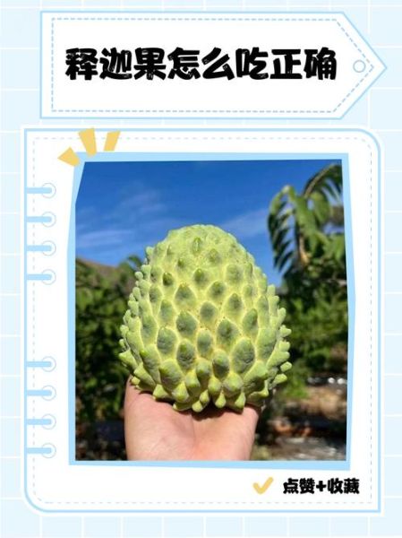 释迦果怎么吃_释迦果的吃法技巧-第3张图片-山城妙识