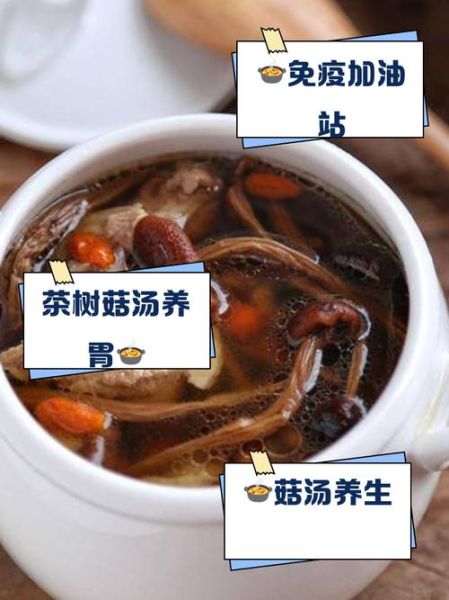 茶树菇鸡汤的做法_茶树菇鸡汤的功效-第1张图片-山城妙识