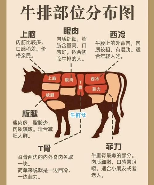 牛身上部位大全图解_如何区分牛排等级-第1张图片-山城妙识