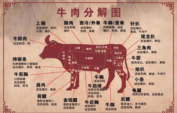 牛身上部位大全图解_如何区分牛排等级-第2张图片-山城妙识