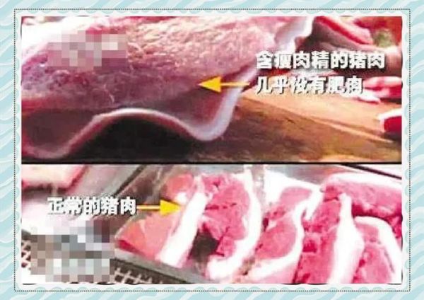 瘦肉精的学名是什么_对人体有哪些危害-第1张图片-山城妙识