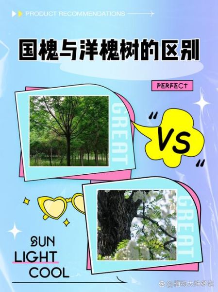 槐树有多少个品种_常见槐树图片怎么区分-第1张图片-山城妙识