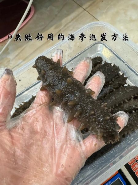 辽参怎么发制_辽参发制需要几天-第1张图片-山城妙识