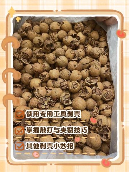 山核桃怎么剥_山核桃剥壳技巧-第1张图片-山城妙识