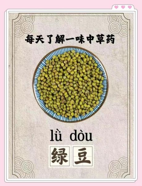 绿豆解中药还是解西药_真相揭秘-第1张图片-山城妙识 绿豆解中药还是解西药_真相揭秘-第1张图片-山城妙识