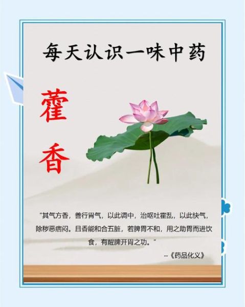 藿香的功效与作用有哪些_藿香怎么使用效果最好-第3张图片-山城妙识 藿香的功效与作用有哪些_藿香怎么使用效果最好-第3张图片-山城妙识