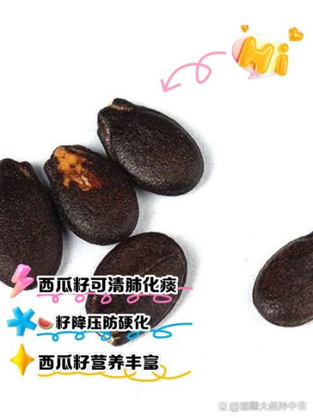 西瓜籽的营养价值_西瓜籽能降血压吗-第1张图片-山城妙识 西瓜籽的营养价值_西瓜籽能降血压吗-第1张图片-山城妙识